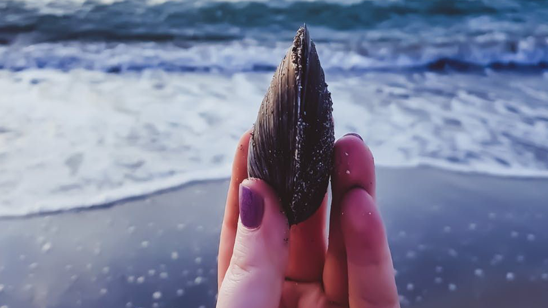 Show me your clam. - 95-7 THE ROCK