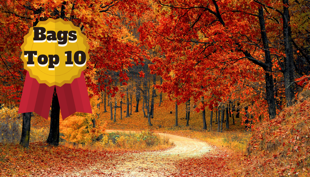 Bags Top 10 - Fall Stuff - 95-7 THE ROCK